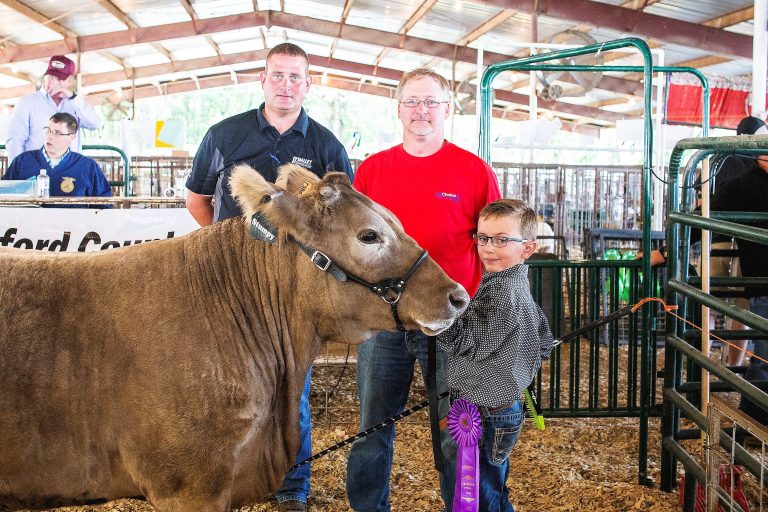 Crawford County Fair 4-H results | Hometown Girard
