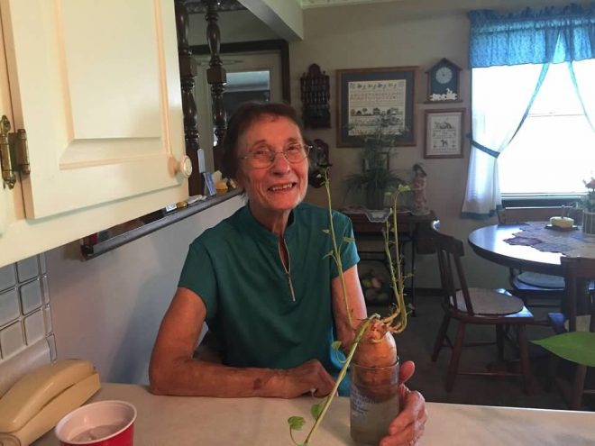 Obituary: Aurelia Marie Pyle | Hometown Girard